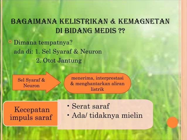 PPT Biolistrik mata kuliah biofisika semester 5 | PPT