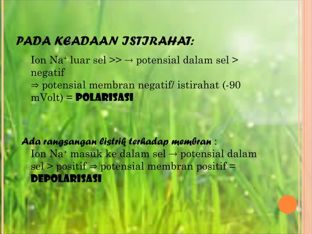 PPT Biolistrik mata kuliah biofisika semester 5 | PPT