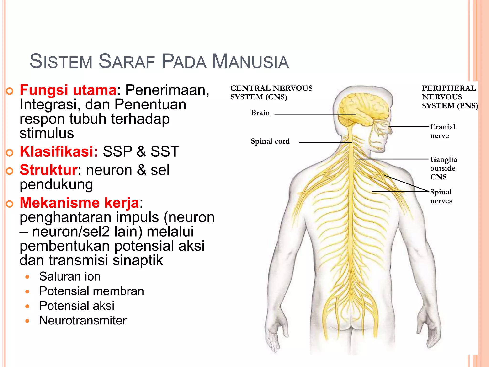biolistrik tari.ppt