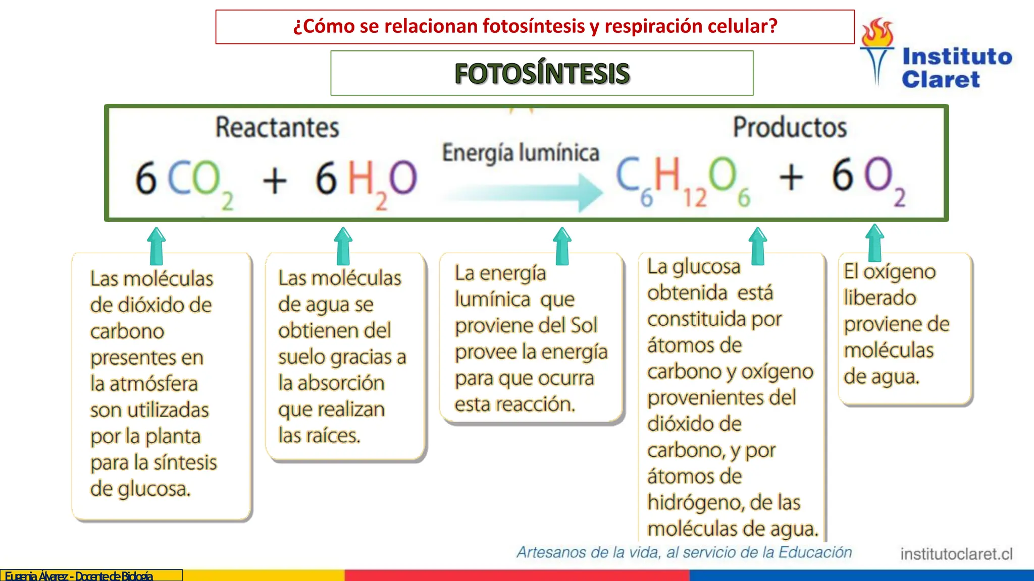 Biología-1º-Medio-Fotosíntesis-y-Respiración-celular..pdf