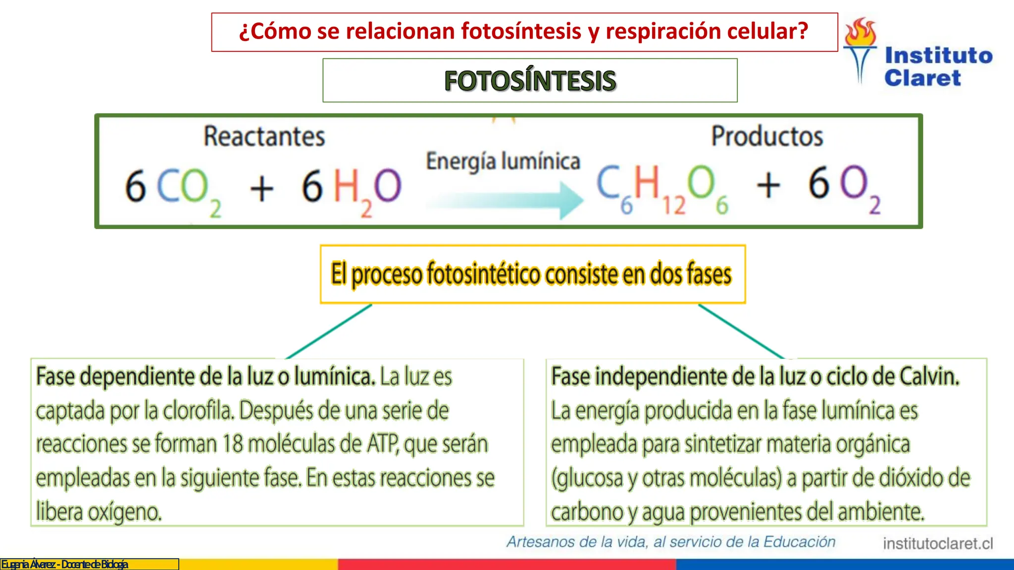 Biología-1º-Medio-Fotosíntesis-y-Respiración-celular..pdf
