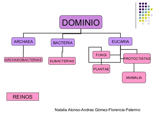Biología Sistemática, Taxonomía, dominios y reinos