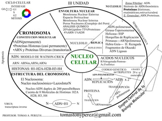 BIOLOGÍA CELULAR Mandalas | PPT