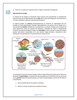 Biología-Octavo-Guía-2.-Reproducción-sexual-y-asexual-1.pdf