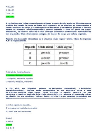 Fotosíntesis y respiración celular_ | DOCX