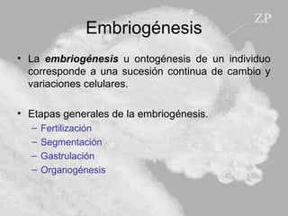 Biología del desarrollo 2 | PPT