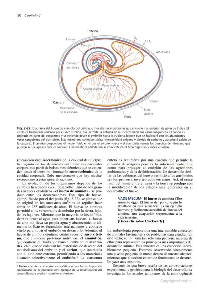 Biología del Desarrollo Gilbert 7a edición.pdf