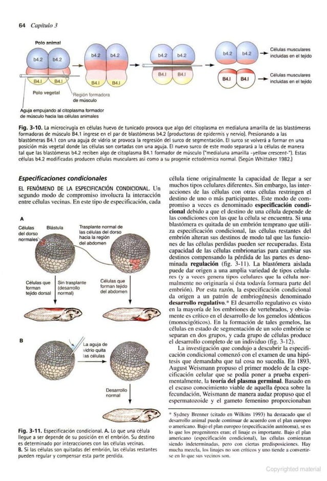 Biología del Desarrollo Gilbert 7a edición.pdf