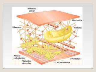 Biología general | PPT
