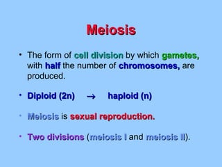 Biología, meiosis | PPT