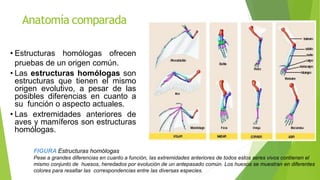 BIOLOGÍA PRIMERO MEDIO.pdf