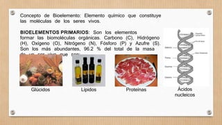 Bioelementos y Biomoléculas | PPTX