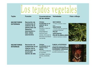 Biología y geología tema 9. los tejidos | PPS