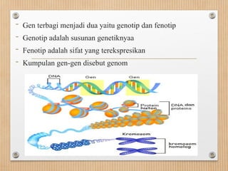 Biologi Materi Genetik Teknik Lingkungan.pptx