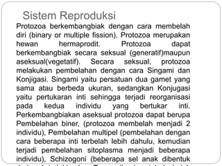 Protozoa | PPTX