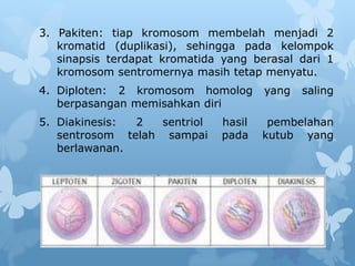 Biologi | PPTX