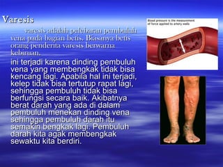 SISTEM SIRKULASI PADA MANUSIA | PPT