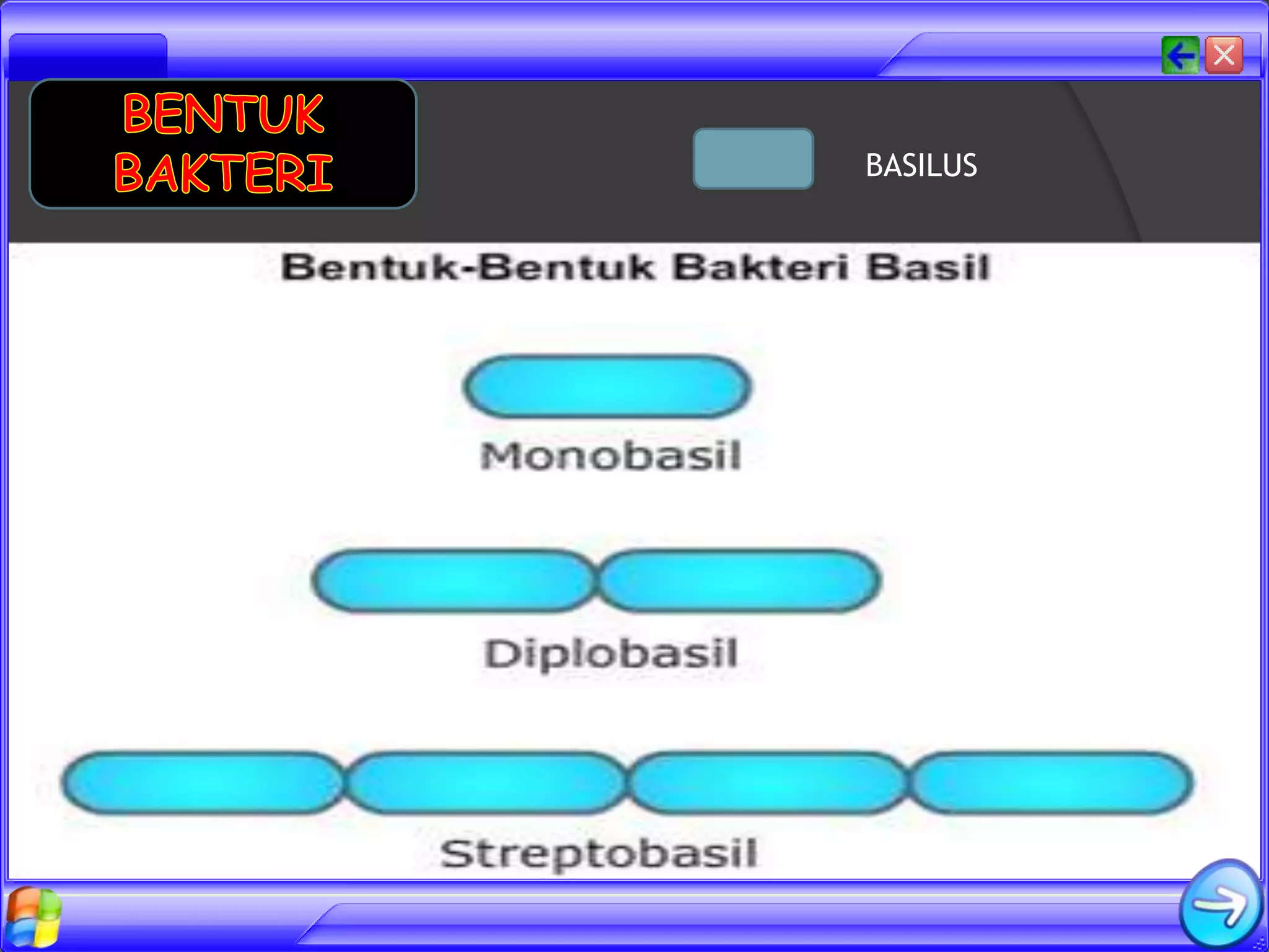 Biologi: Bakteri | PPTX