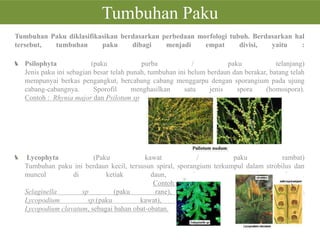 Tumbuhan Paku dan Lumut (Biologi) | PPTX