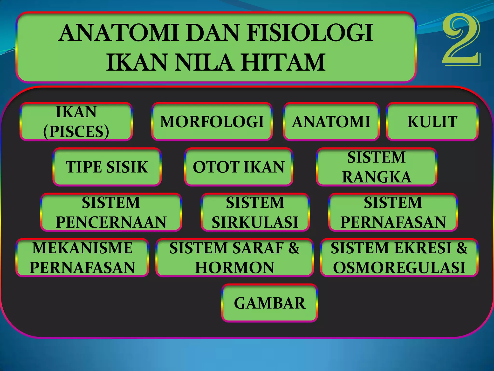 Biologi Anatomi ikan nila hitam | PPTX