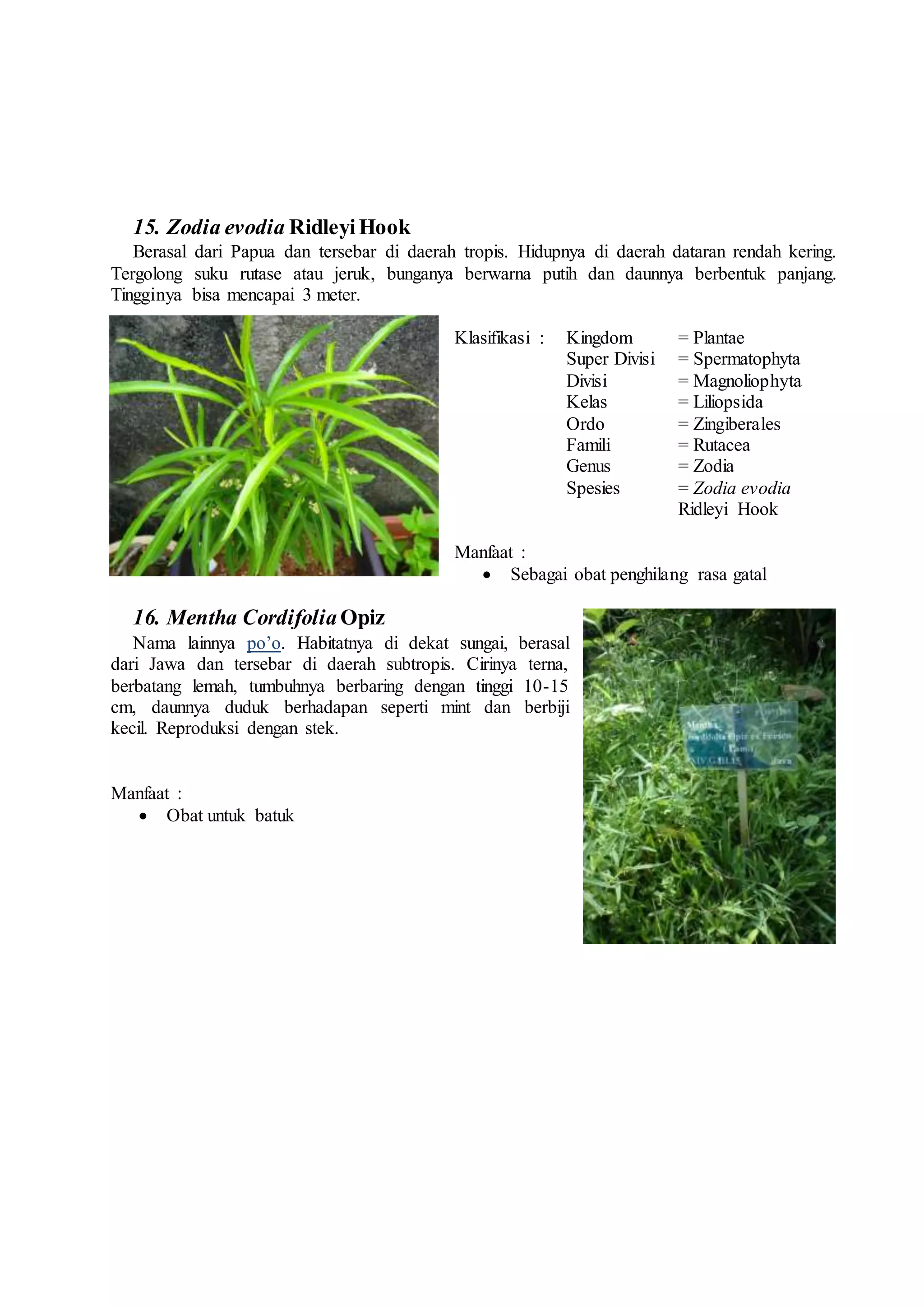 Tanaman Obat "Kebun Raya Purwodadi" | DOCX