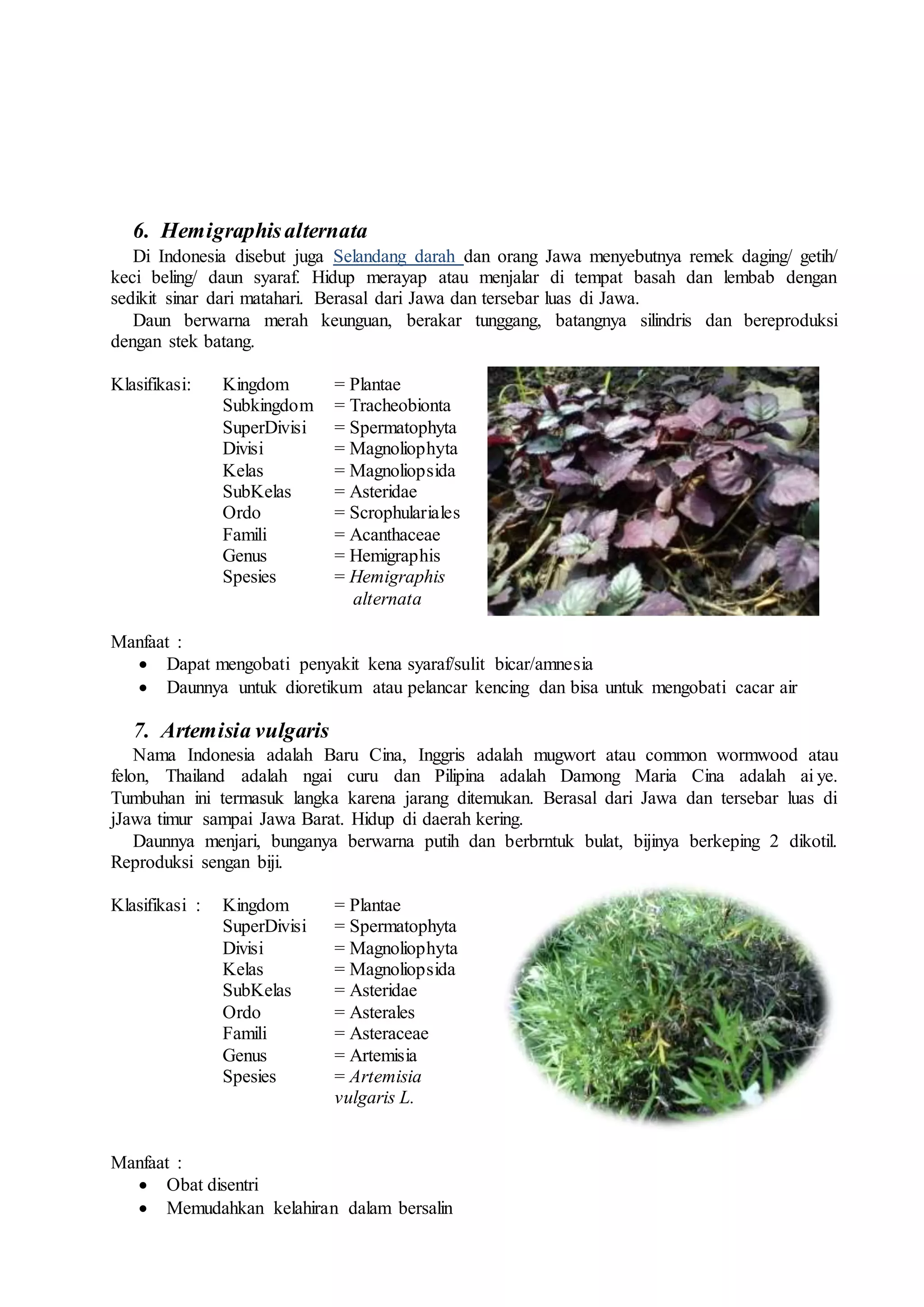 Tanaman Obat "Kebun Raya Purwodadi" | DOCX