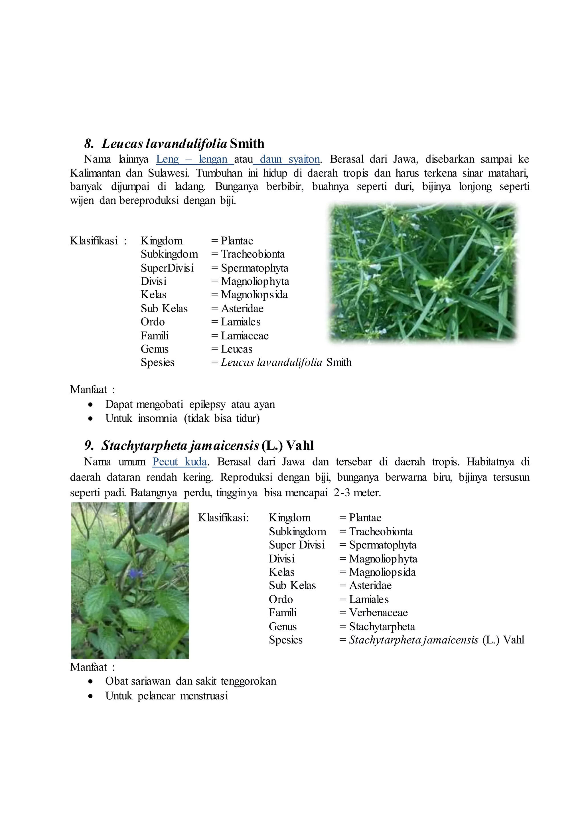 Tanaman Obat "Kebun Raya Purwodadi" | DOCX