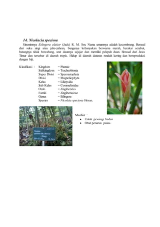 Tanaman Obat "Kebun Raya Purwodadi" | DOCX