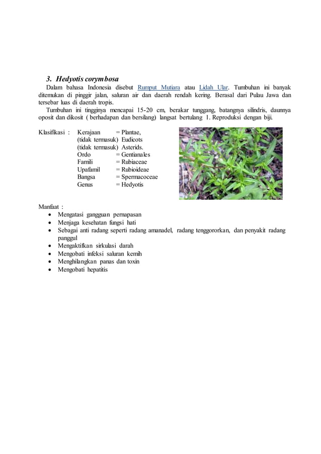 Tanaman Obat "Kebun Raya Purwodadi" | PDF