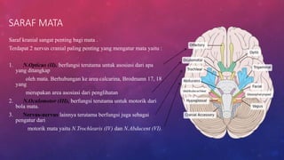PANCA INDERA (MATA) | PPTX
