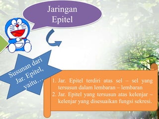 jaringan epitel biologi | PPTX