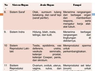 Sistem Organ Pada Manusia | PPT