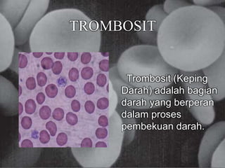 PLASMA DARAH DAN TROMBOSIT | PPTX