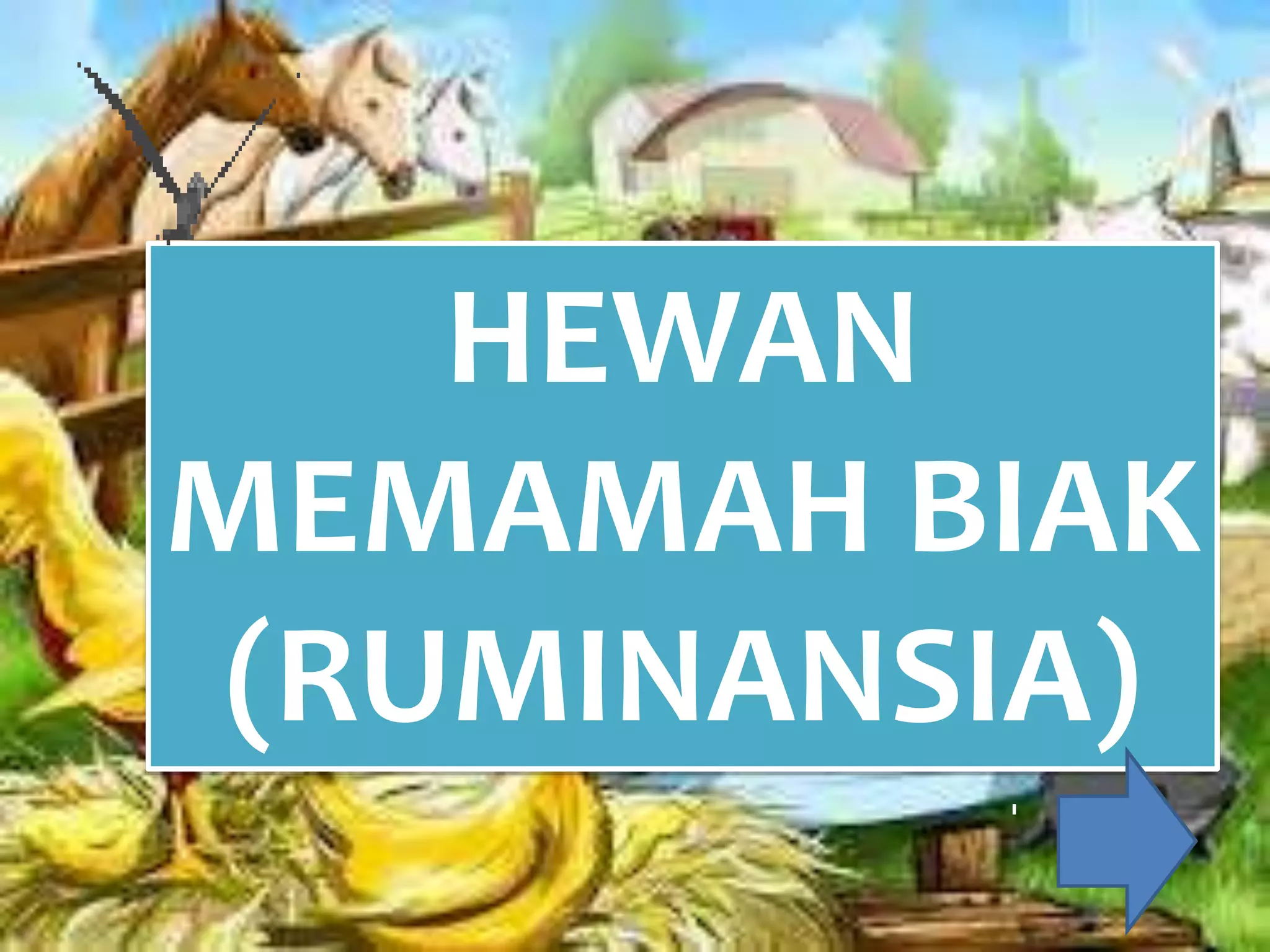 Biologi Hewan Memamah biak (Ruminansia) | PPTX