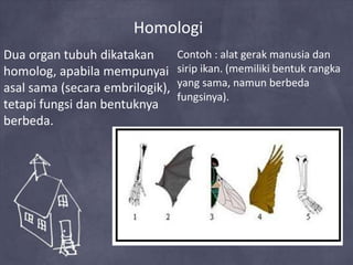 Biologi - petunjuk adanya evolusi | PPTX