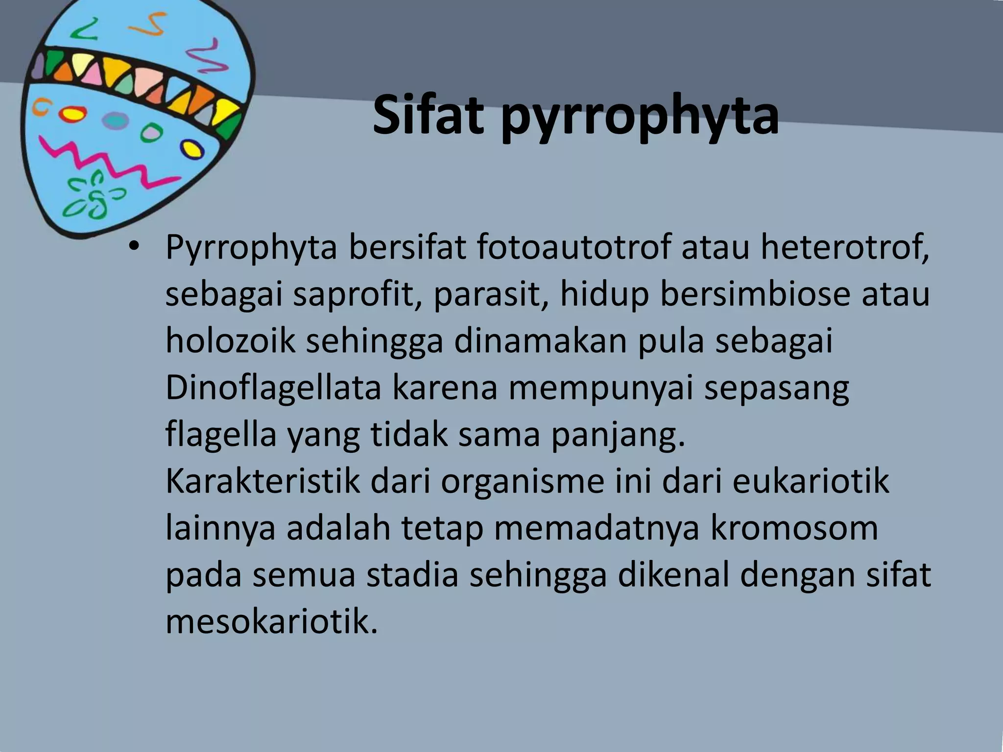 euglenophyta dan pyrrophyta | PPTX