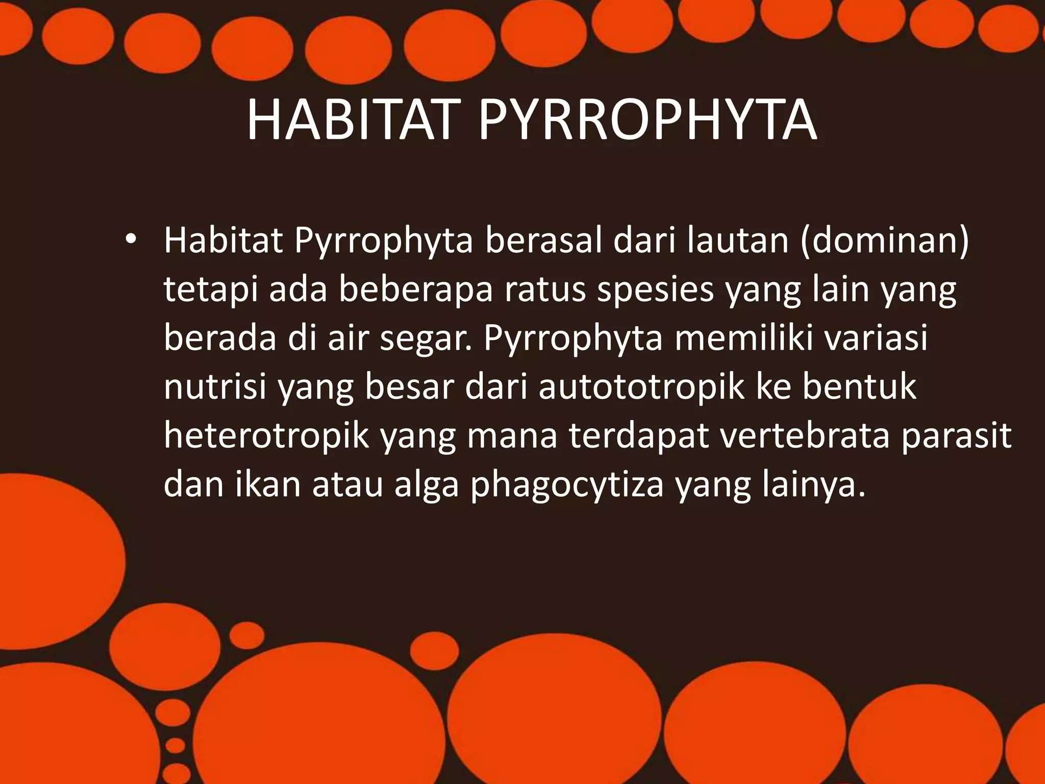 euglenophyta dan pyrrophyta | PPTX