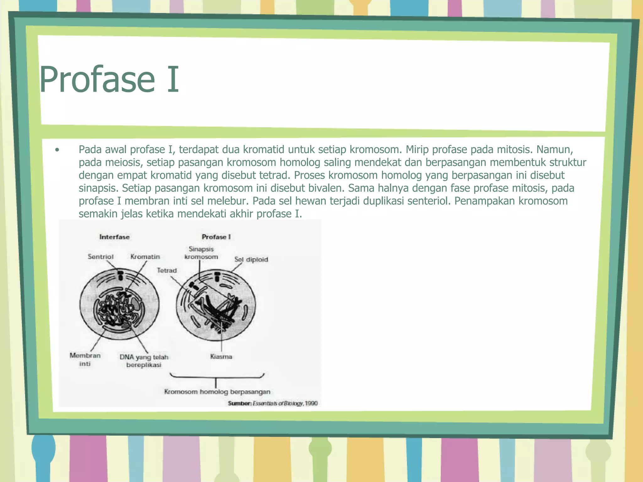 PEMBELAHAN MEIOSIS | PPTX