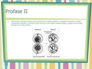 PEMBELAHAN MEIOSIS | PPTX
