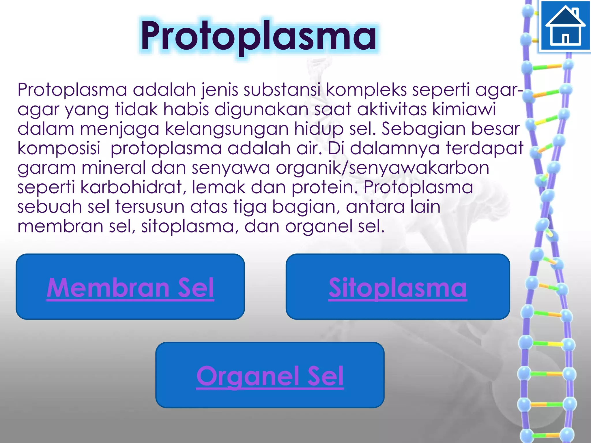 Biologi | PPTX