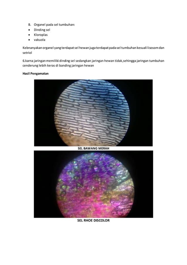 Laporan Hasil Praktikum Biologi Struktur Sel | DOCX