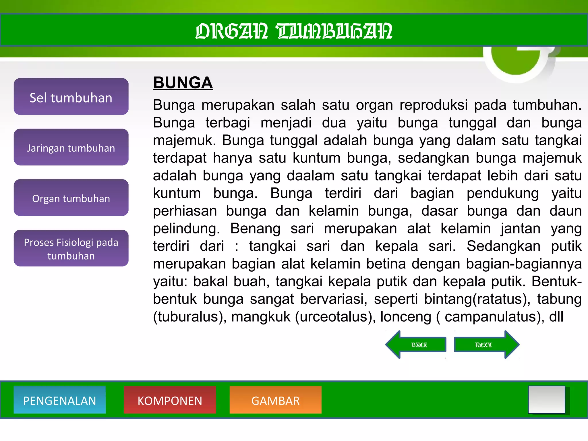 Struktur dan Jaringan Pada Tumbuhan | PPT