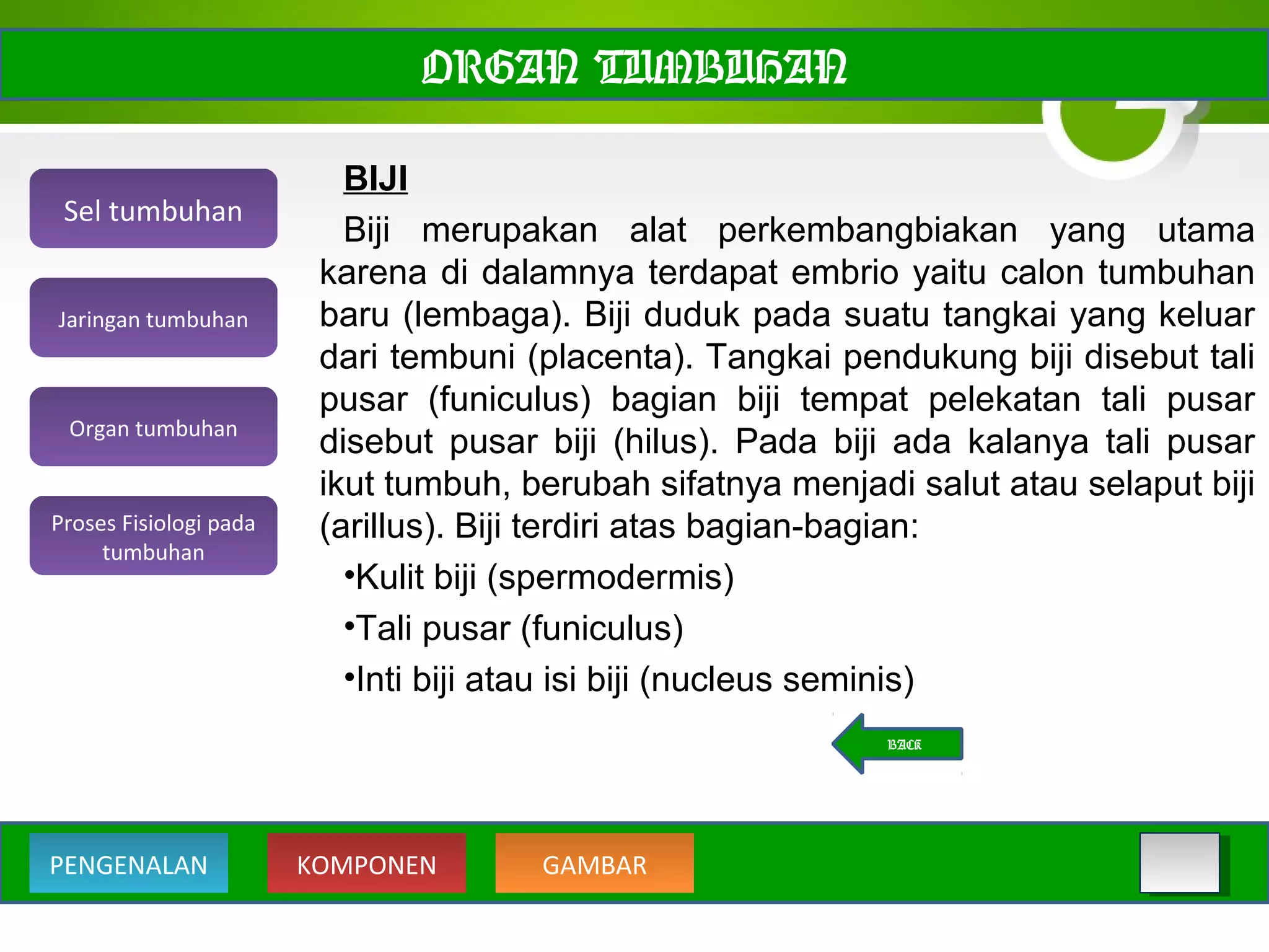Struktur dan Jaringan Pada Tumbuhan | PPT