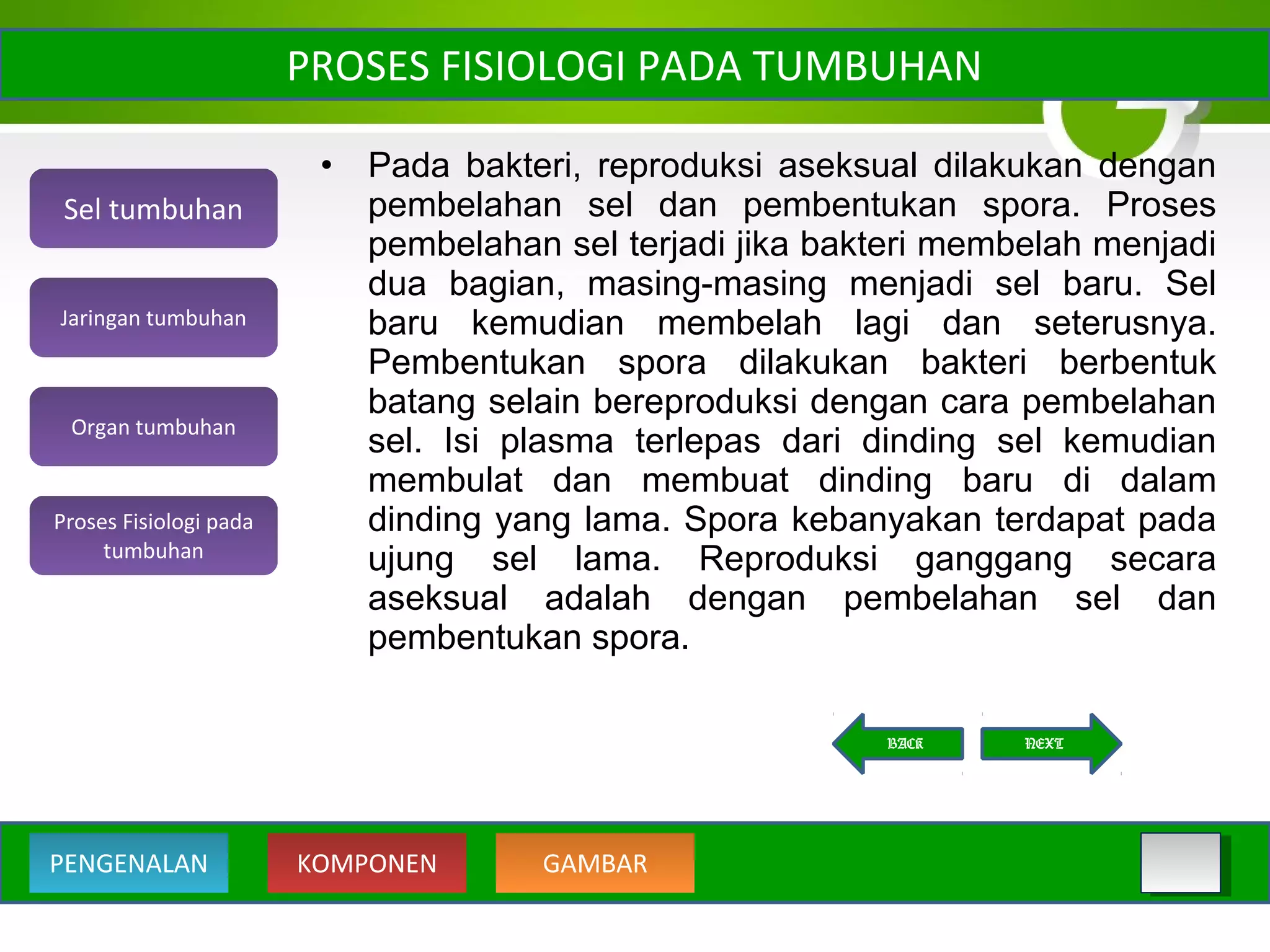 Struktur dan Jaringan Pada Tumbuhan | PPT