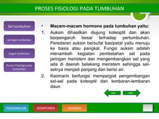 Struktur dan Jaringan Pada Tumbuhan | PPT