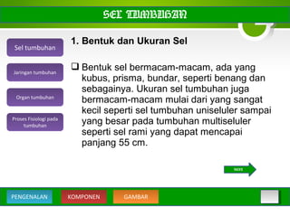 Struktur dan Jaringan Pada Tumbuhan | PPT