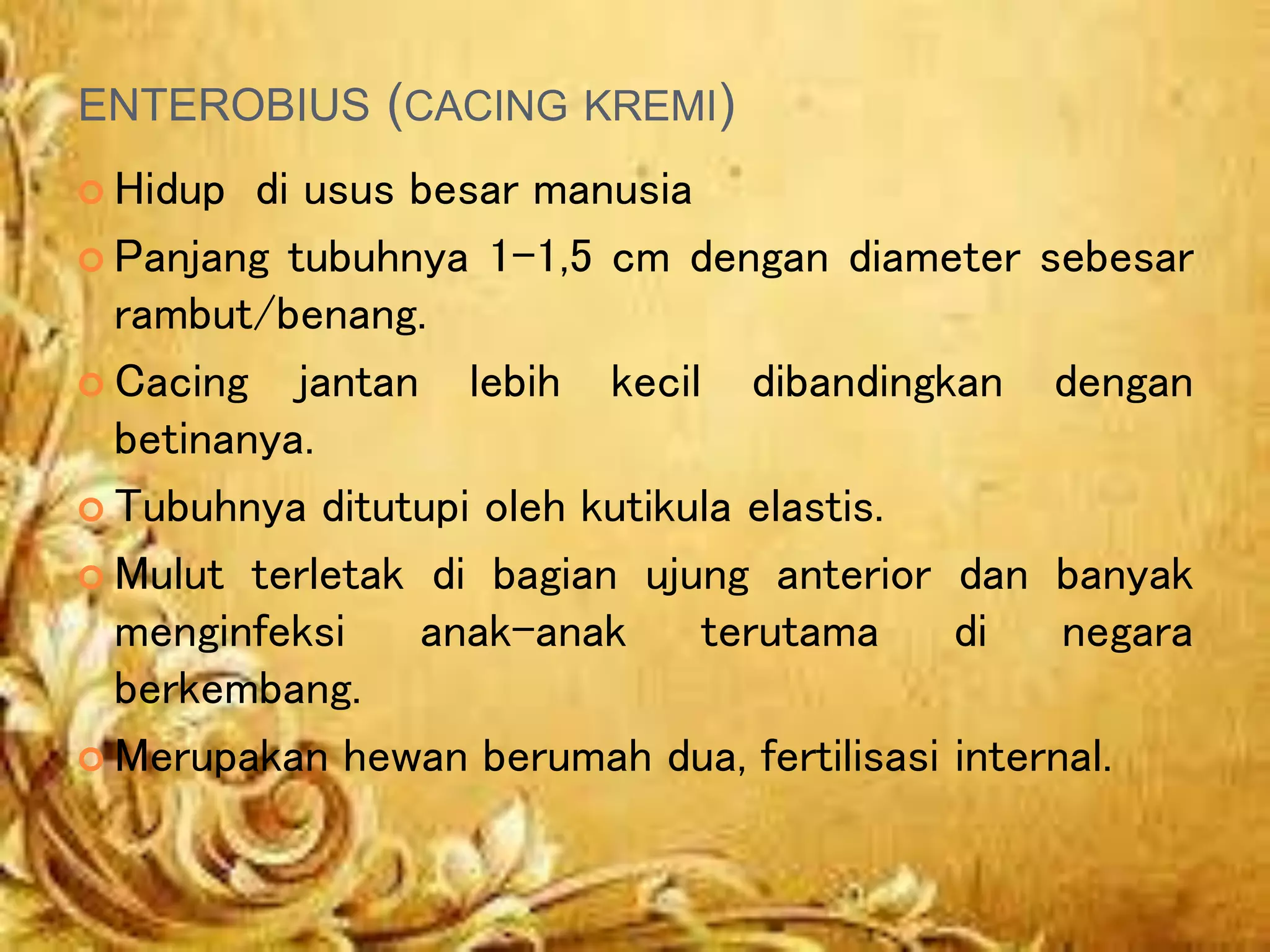 Biologi enterobius vermicularis | PPTX