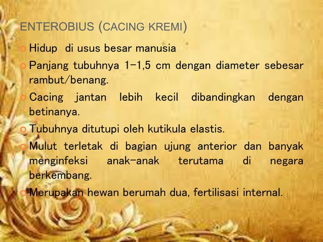 Biologi enterobius vermicularis | PPTX