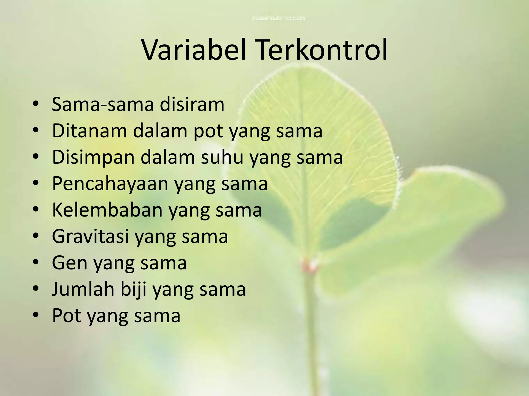 Pengaruh Media Tanam terhadap Pertumbuhan Kecambah | PPT Pengaruh Media Tanam terhadap Pertumbuhan Kecambah | PPT