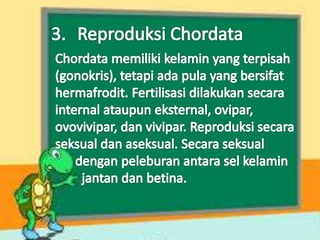 Chordata | PPTX